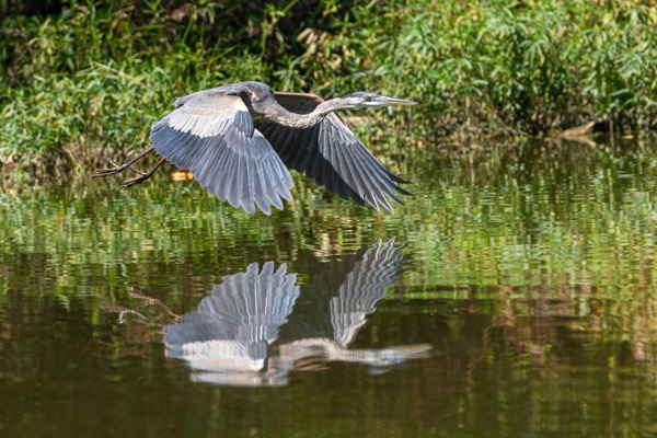 CreBee - 短视频矩阵跨平台多账号一键分发与数据统计工具