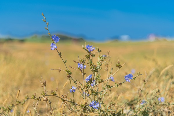 CreBee - 短视频矩阵跨平台多账号一键分发与数据统计工具